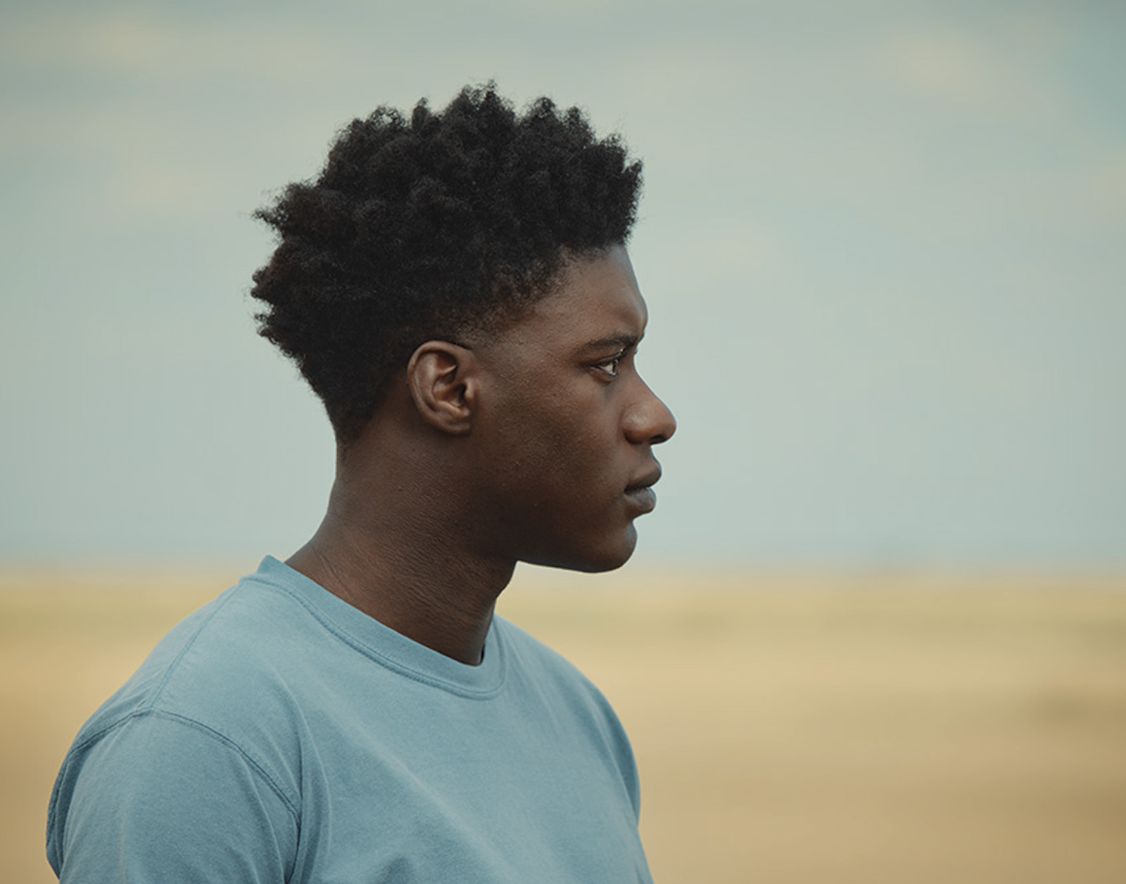 The Last Tree | Broadway