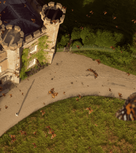 Wilding + Discussion (in-person) | Broadway