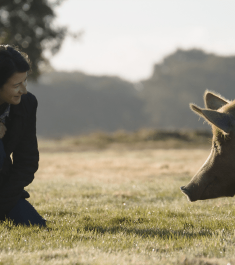 Wilding + pre-recorded Q&A | Broadway